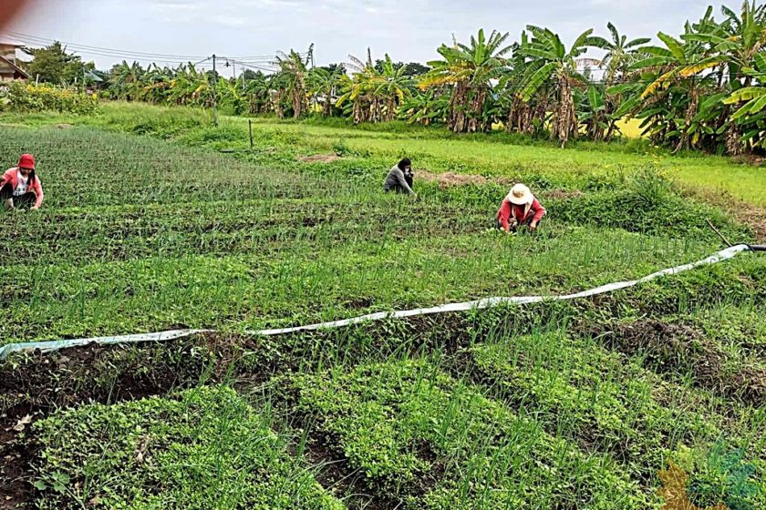 SIBAT - Appropriate Technology