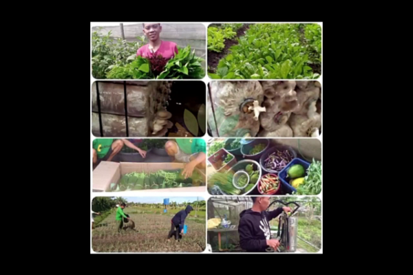 SIBAT - Appropriate Technology